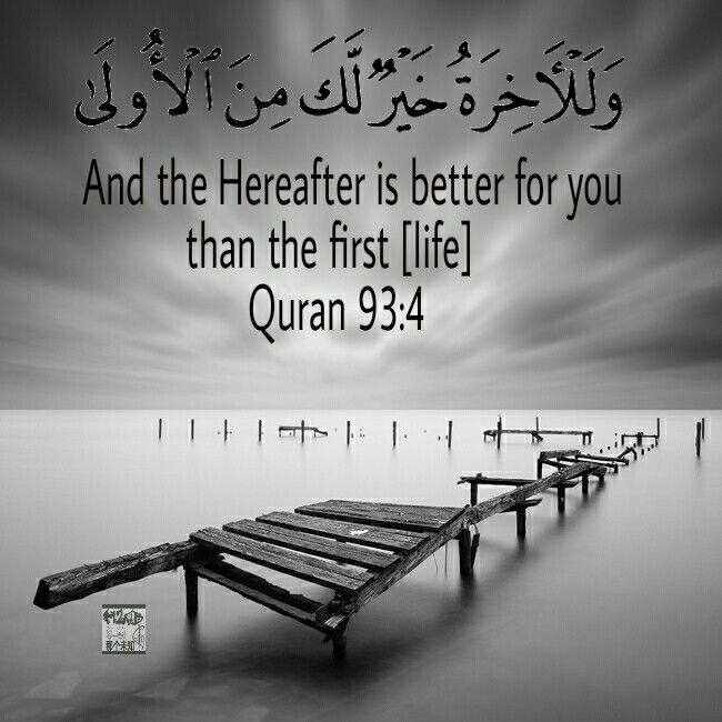 Quran Mercy to Mankind and know dvine Purpose of Life